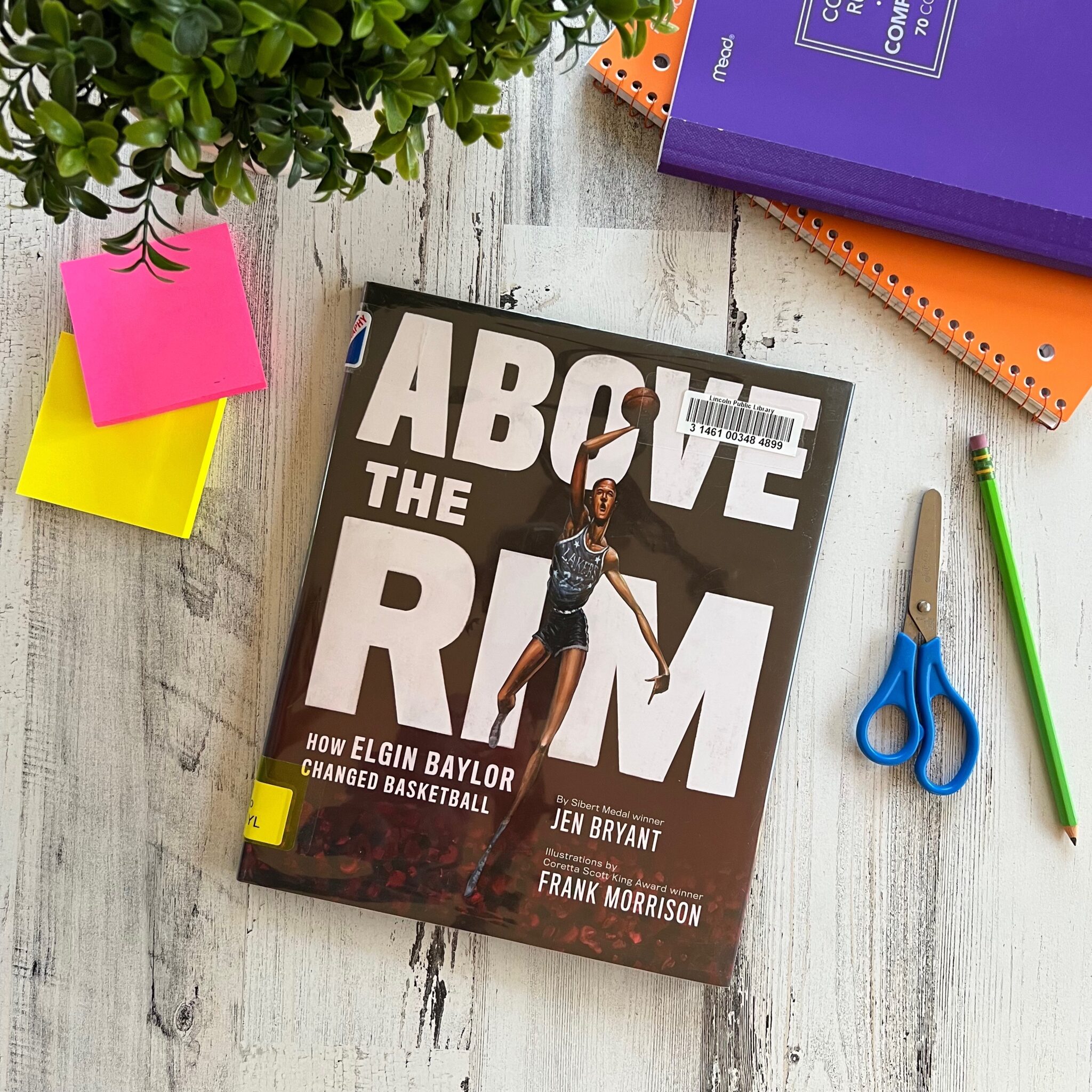 March Madness Books for Kids - The Colorful Apple