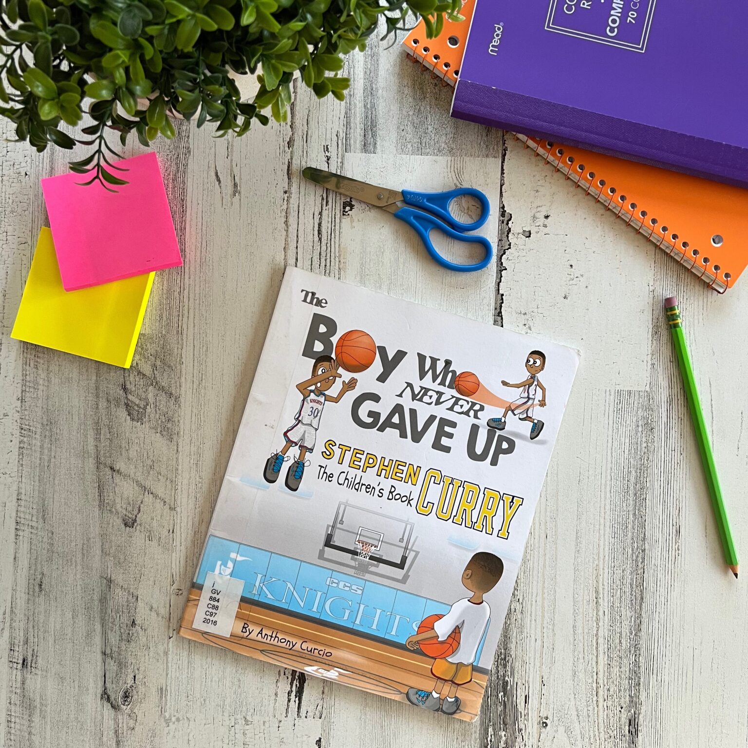 March Madness Books for Kids - The Colorful Apple