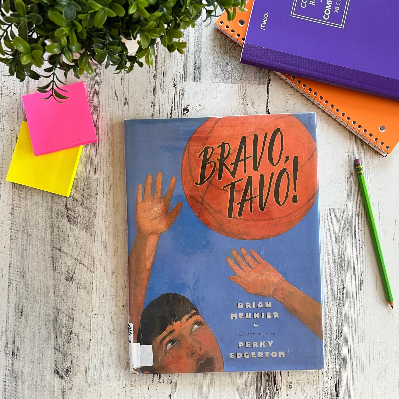 March Madness Books for Kids - The Colorful Apple